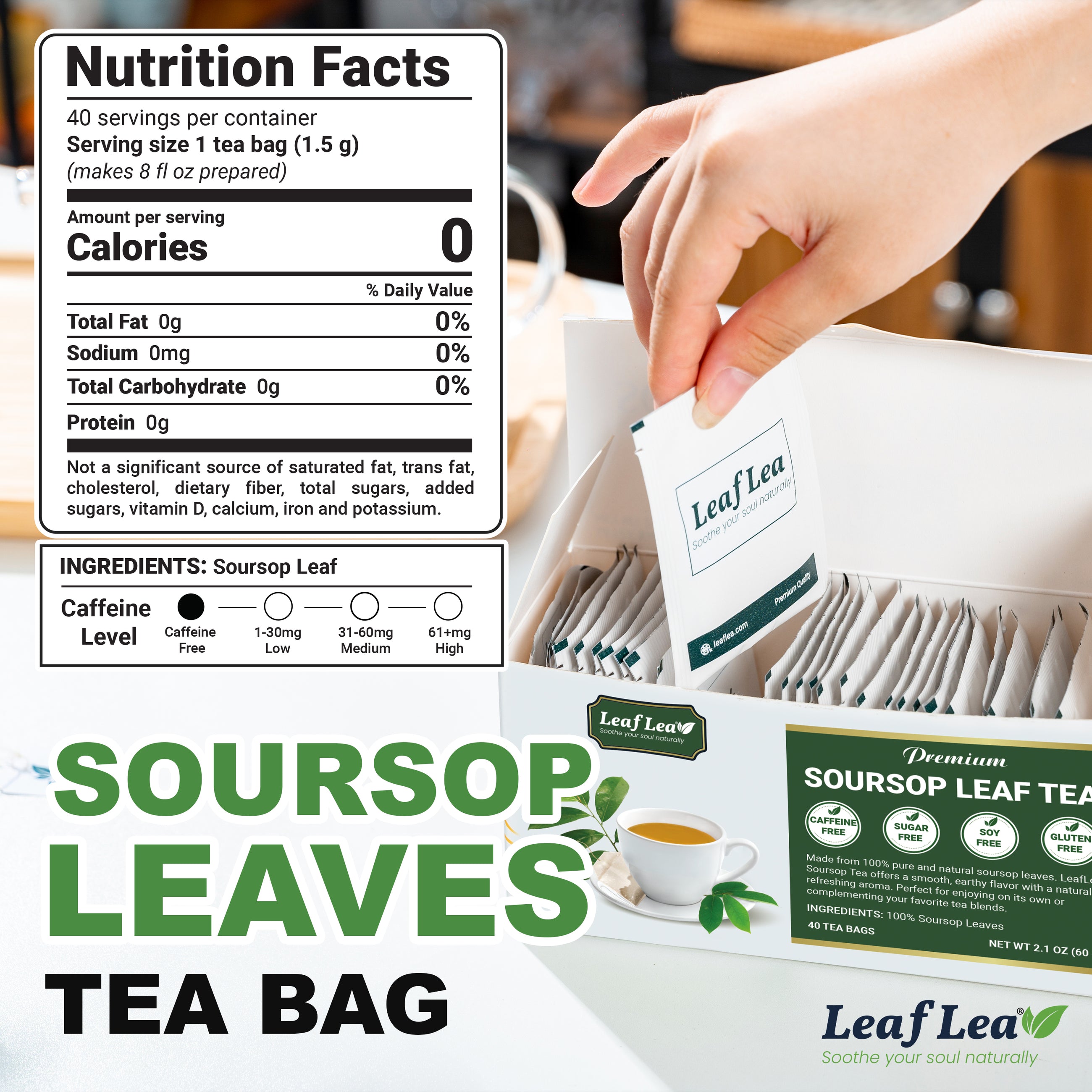 Premium Soursop Leaf Tea Bags for Digestion Support – LeafLea